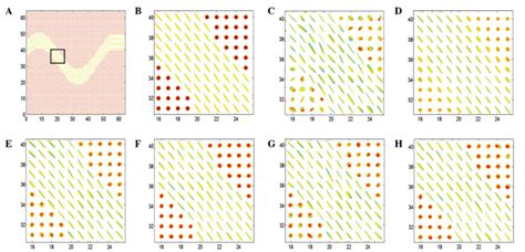 Visual Assessment Of The Denoising Effects On Synthetic Dti Data A