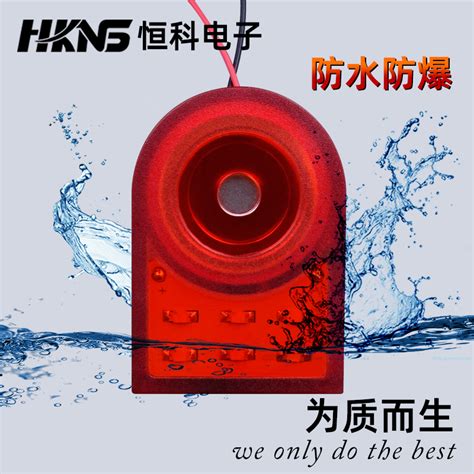 闪光蜂鸣报警器防水防爆dc12v24v蜂鸣器模块110db Ip68故障报警 虎窝淘