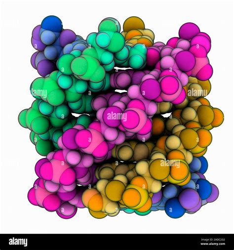 Synthetic Quadruplex Dna Deoxyribonucleic Acid Computer Model Showing The Structure Of A