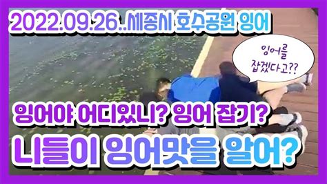 호수공원에서 잉어 먹이 주기 Youtube