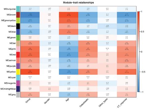 module trait relationship heatmap for different traits and gene