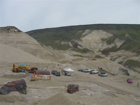 Dig For Your Own Opals With Free Opal Mining In Nevada Nevada Travel