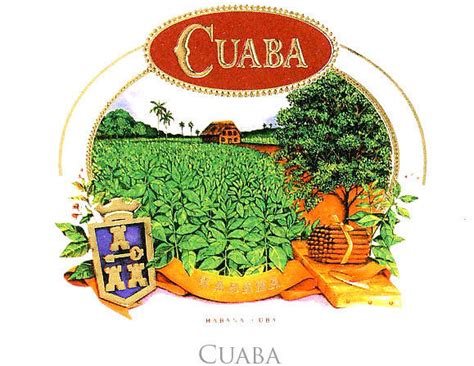 Cuaba Divinos Single Cigar