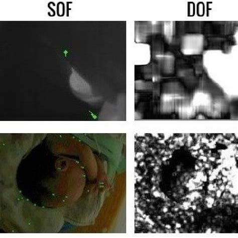 Sample Frames From Thermal Top Row And Rgb Bottom Row Datasets Download Scientific Diagram