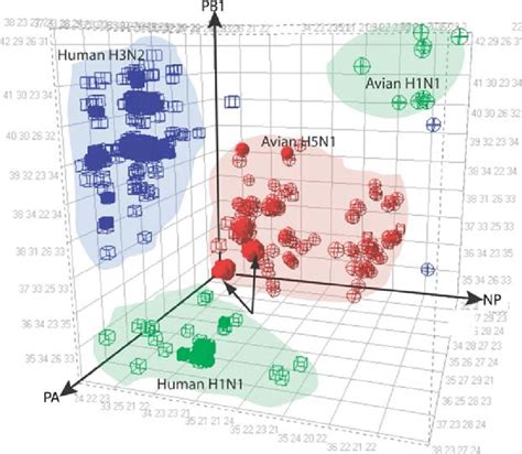 Spatial Clustering Of Influenza Virus Subtypes Each Axis Represents Download Scientific