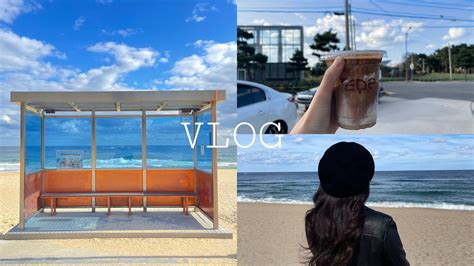 Vlog 강릉여행 브이로그 강릉맛집 강릉카페 강릉소품샵 강릉 2박3일짬뽕순두부 툇마루 엄지네포장마차 Bts정류장 강릉커피거리 바우커피 메종고니 순수