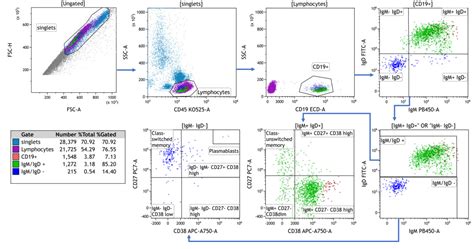 Flow Cytometry Diagram