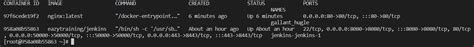 Docker Cant Listen Port 80 Inside My Jenkins Container Stack Overflow