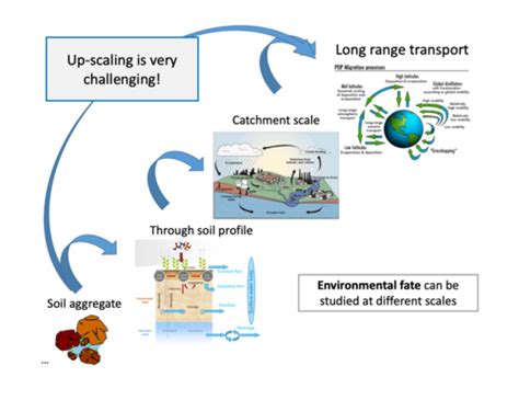 lectures 5 6 flashcards quizlet