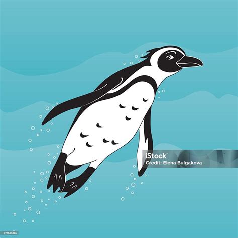 귀여운 말풍선이 있는 아프리카 펭귄 수영은 바다빛 0명에 대한 스톡 벡터 아트 및 기타 이미지 0명 검은색 디자인 Istock