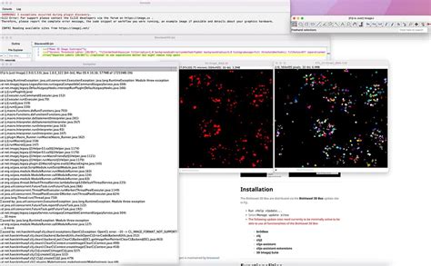 Biovoxxel 3d Error Due To Clij2 Exception Usage And Issues Imagesc Forum