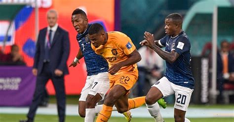 네덜란드·에콰도르 1 1 무승부a조 공동선두