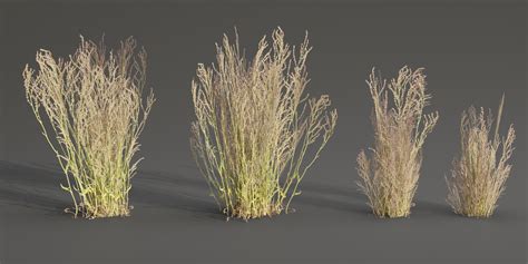 Low Poly Wild Grass Collection Vol 201 Blender Blender Market