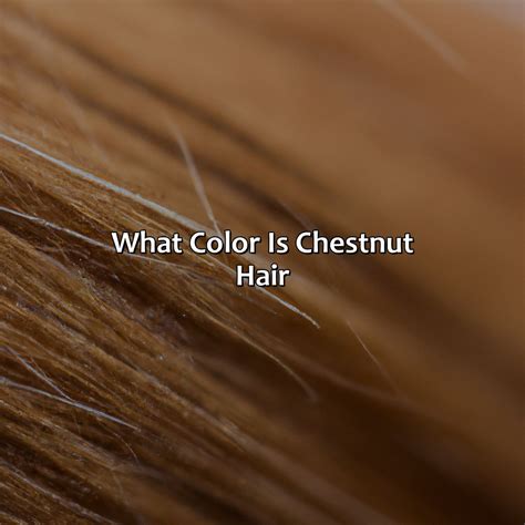 What Color Is Chestnut Hair