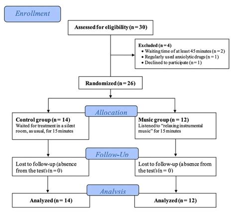 Flowchart Outlining Patient Enrollment Randomization Follow Up And