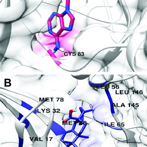 In Silico Molecular Docking Simulation Between UA And LKB1 A Docking