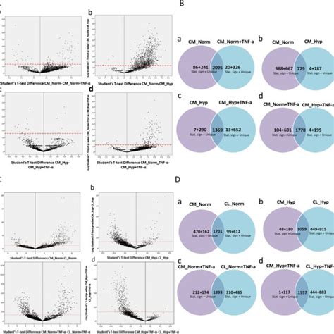 A Quantitative Proteomic Analysis Volcano Plots Reflecting The Results