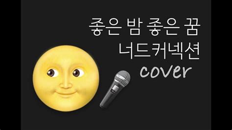 좋은밤 좋은꿈 너드커넥션 Nerd Connection Cover Youtube