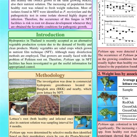 The Amount Of Pythium Spp In Lettuces Roots And Nutrient Solution Of Download Scientific