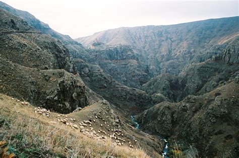 Erusheti ქაჯ ეთ ის ციხე და ცხვრის ფარა Rusudan Beridze Flickr