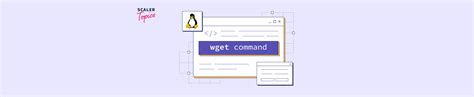 Wget Command In Linux Scaler Topics