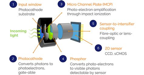 What Does Ccd Video Camera Mean At Indiana Seery Blog