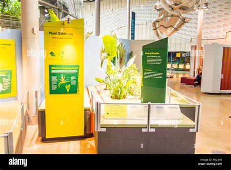 San Francisco Usa Oct 5 2015 Exhibits In The California Academy Of