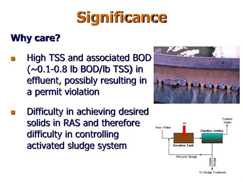 sludge bulking pdf