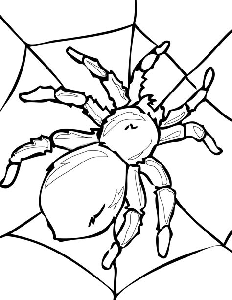 Cute Spider Coloring Page