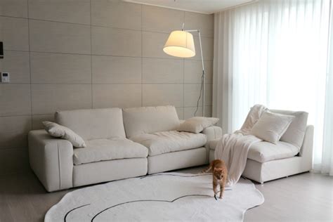 까사미아 캄포소파 Vs 디토쇼파 브로디 비교 후기 단점 및 장점 네이버 블로그