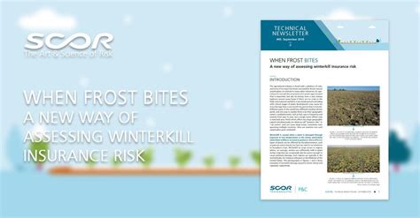 Hanna Plotka On Linkedin Check Out This Technical Newsletter I Wrote On Winterkill Risk In…