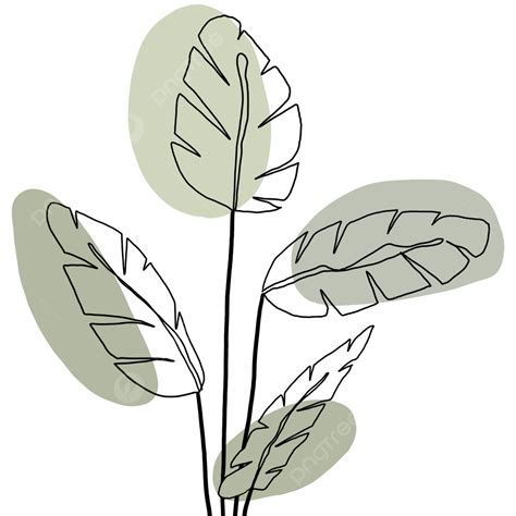 Aesthetic Line Art Png Image Abstract Leaf Line Art Aesthetics Leaf Drawing Leaf Sketch