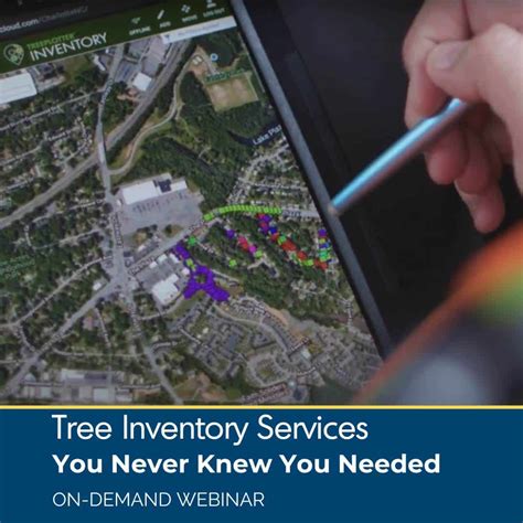 Tree Inventory Planning For Actionable Data PlanIT Geo