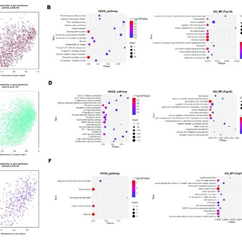 Evaluation Of The Infiltration Level Of Immune Cells Xcell A Download Scientific Diagram