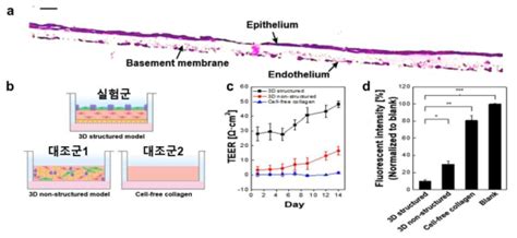 보고서 호흡기계 줄기세포 기반 폐 오가노이드 칩 개발