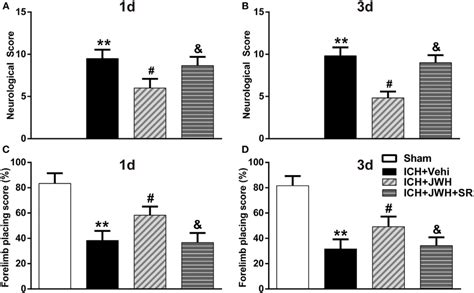 Neurological Deficit Scores Results Of Modified Neurological Download Scientific Diagram