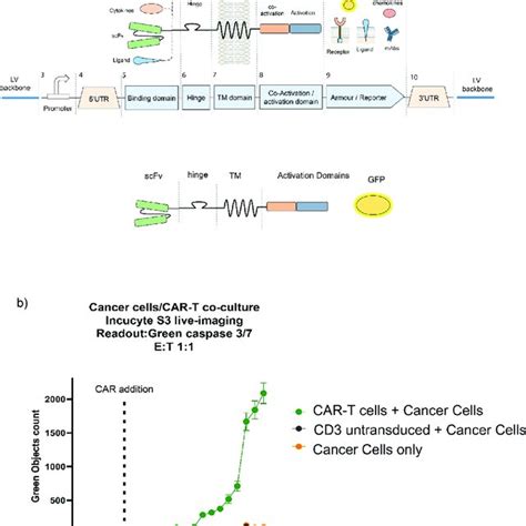 A Schematic Representation Of The One Pot Combinatorial Assembly To Download Scientific