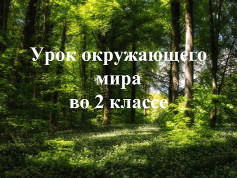 Урок окружающего мира во 2 классе «Какие бывают растения презентация доклад