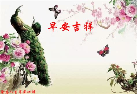 202086星期四早安ღ心语 人生