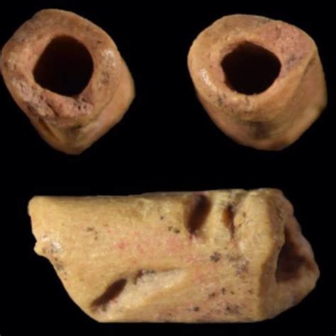 Un virólogo de referencia alemán afirma que la covid ya se ha vuelto endémica Infobae