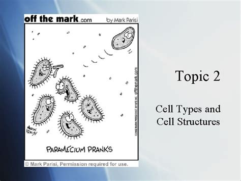 Topic 2 Cell Types And Cell Structures Living