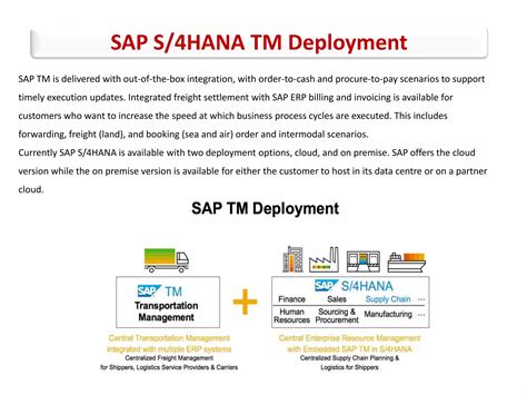 Sap S4 Hana Tm Pptx