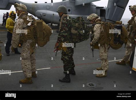 Us Marines Onload To The Uss Wasp For Deployment 28270303086 Stock