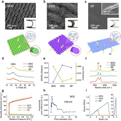 Carbon Nature And Microstructure Investigations Of Flexible Carbon