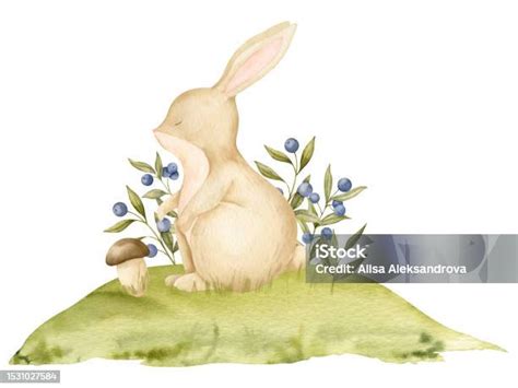 숲에 식물이 있는 토끼 손으로 그린 수채화 그림은 하얀 고립된 배경에 베이비 샤워를 위해 토끼나 토끼를 그린다 유치한 인사말