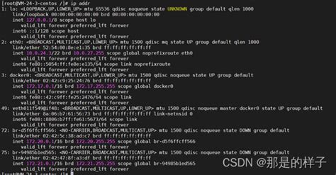 【docker】——networkdocker Run Network Csdn博客