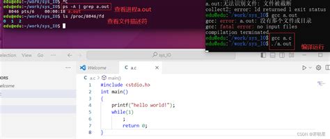【linux】linux系统调用及文件io操作linux 把数据写到文件 涉及的系统调用 Csdn博客