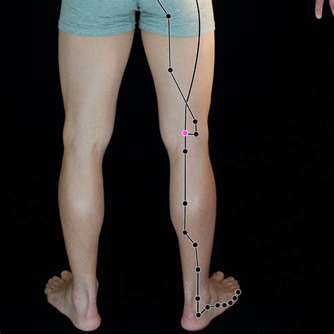 Acupuncture Points For Sciatic Nerve Pain At Daniel Finley Blog