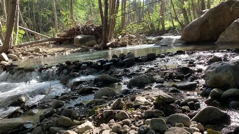 Santa Paula Punch Bowls Updated February 2026 208 Photos And 68