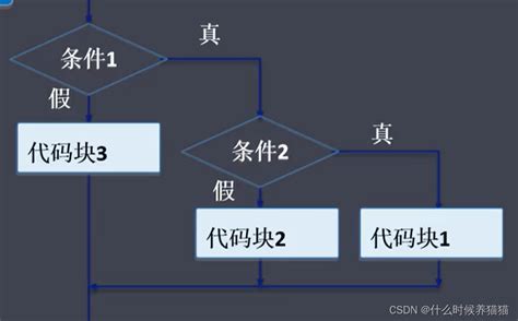Java自学 分支结构 Csdn博客